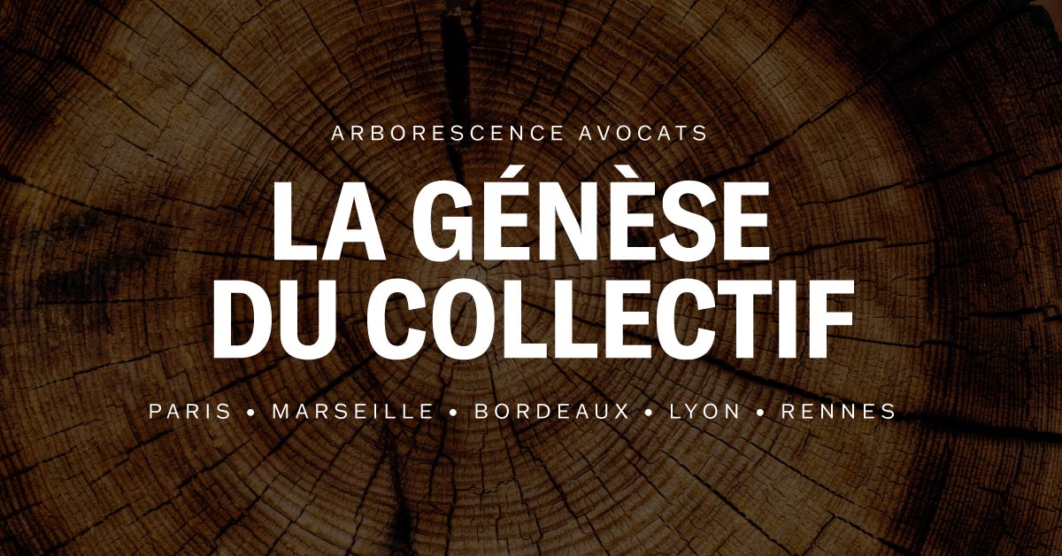 Genèse | Arborescence Avocats